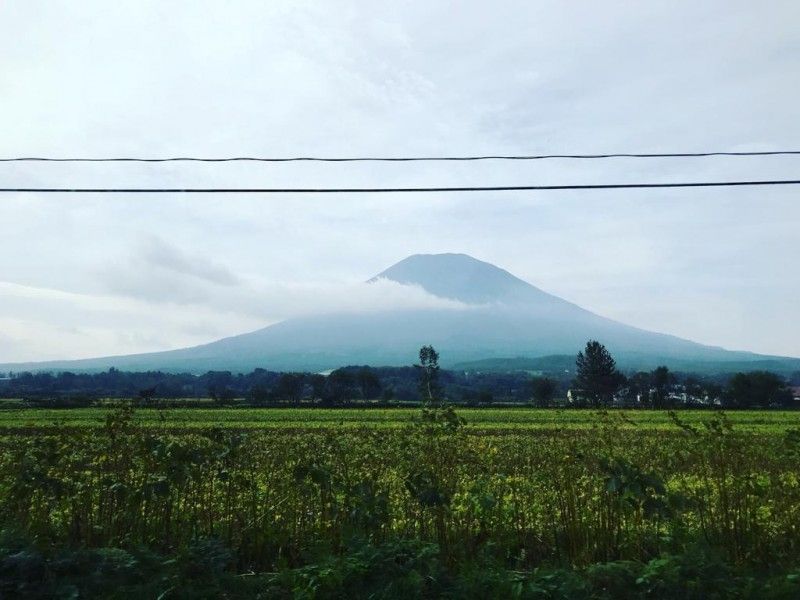 Pico Hongkong 25th Anniversary (Hokkaido) | Pico Electronics